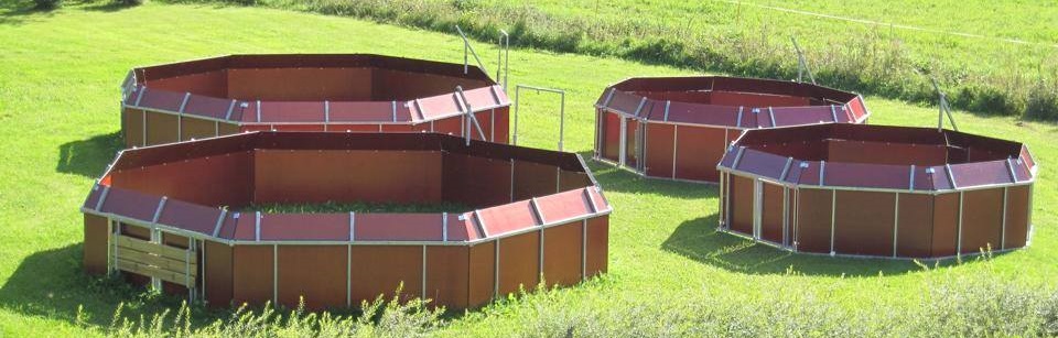 vildsvinsfälla enkel och vildsvinsfälla multitrap , två smarta ...